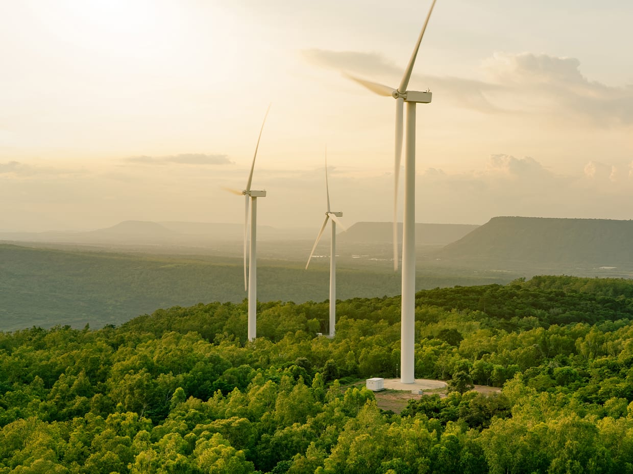 ESG & Sustainability- RSM Spain